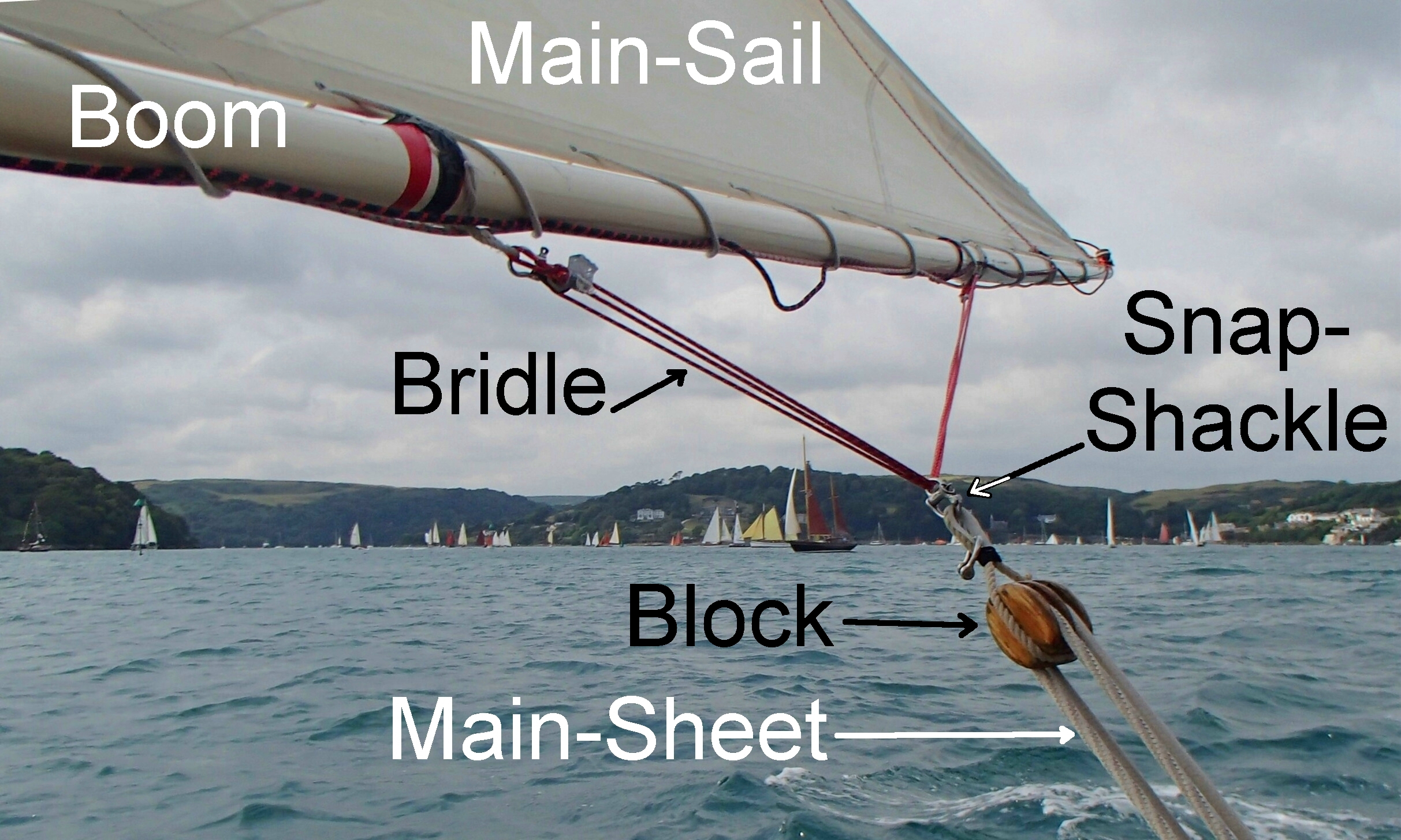 Molly Sailing Introduction 1